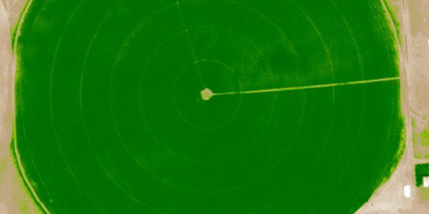 Agisoft Metashape Professional - Dynatech Innovations